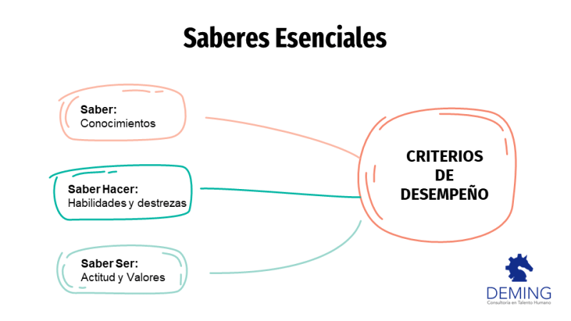 Modelo de Competencias – Deming Consultores